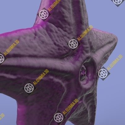 🦹 Starro (+starro mask)・ OBJ file for ・Cults