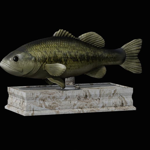 🐠 fish Largemouth Bass / Micropterus salmoides with storage space / for ...