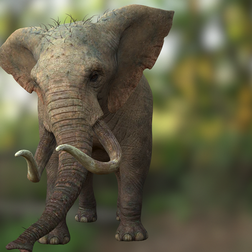 🐘 DOWNLOAD Elephant 3d model animated for blender-fbx-unity-maya-unreal ...