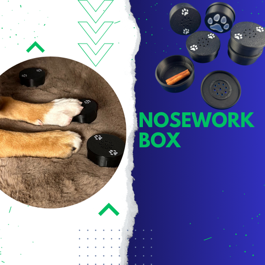 🐕 Scent Training Containers - Nosework・ STL File for 3D printing・Cults