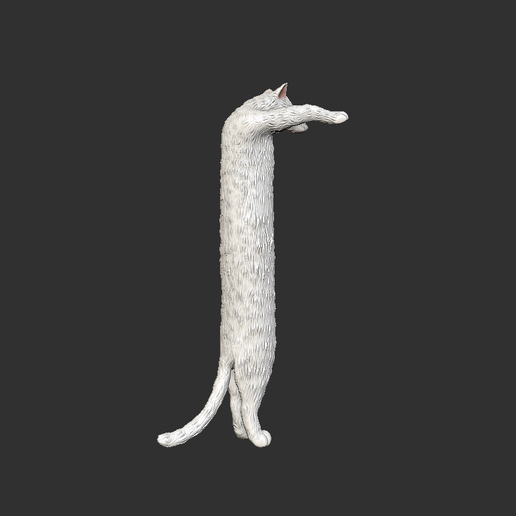 STL file Long cat 🐱 ・3D printing template to download・Cults