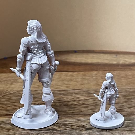 ♀️ Dual Wielding Female Elven Ranger d&d elf・ STL File for ・Cults