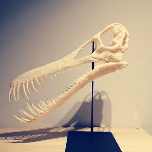 💀 Pterosaur skull - Boreopterus・ STL File for 3D printing・Cults