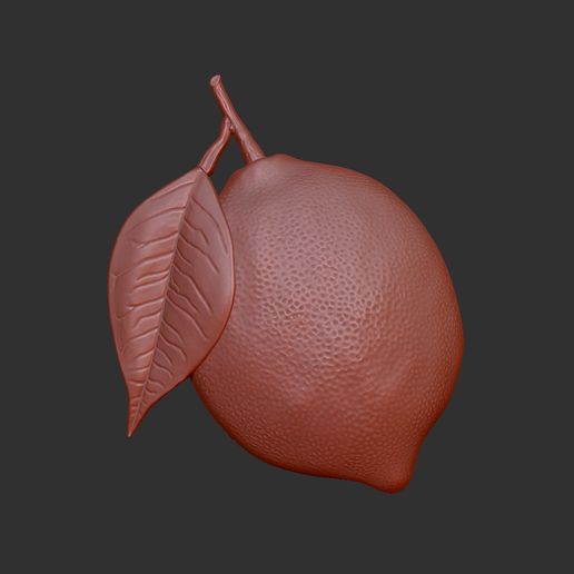 STL file Lemon 3d relief .stl file 🍋 ・3D printing design to download・Cults