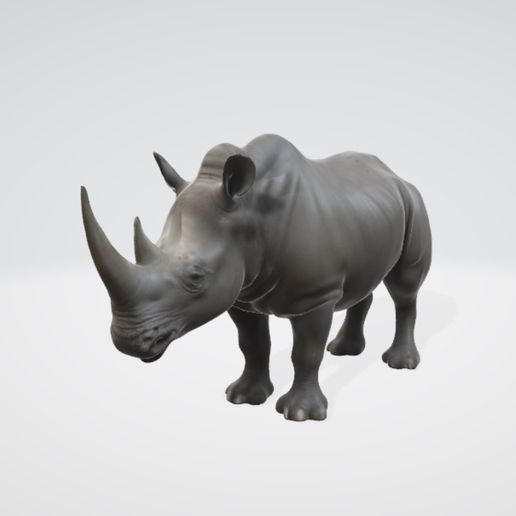 Free 3MF file Rhinoceros 🦏 ・Object to download and to 3D print・Cults