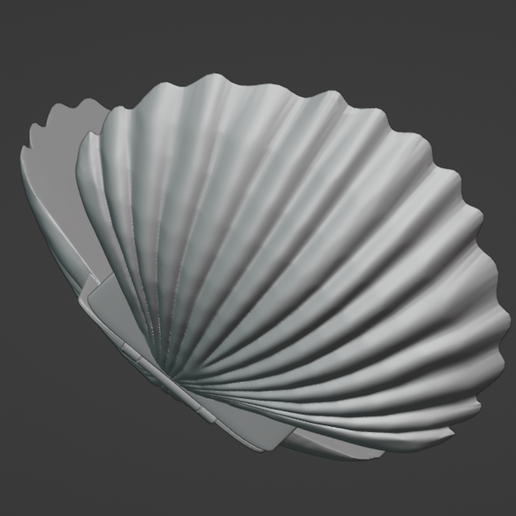 📦 SEASHELL BOX 3D STL FILE | SEASHELL BOX DIGITAL FILE・ STL File for 3D ...