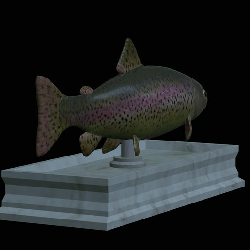 🐠 fish rainbow trout / Oncorhynchus mykiss statue detailed texture for ...