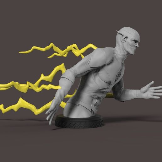👤 Flash Bust・ STL File for ・Cults