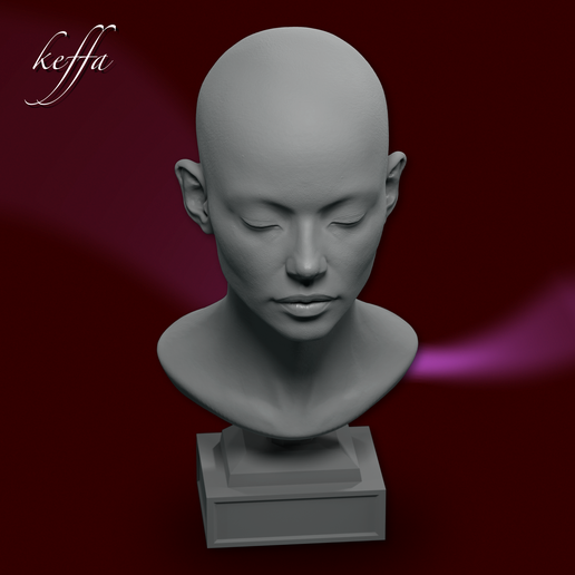 ♀️ Realistic Female Bust with Stand - 12M Polys, High/Medium Poly, Skin ...