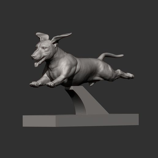 🐕 Dachshund jumping・ STL File for 3D printing・Cults