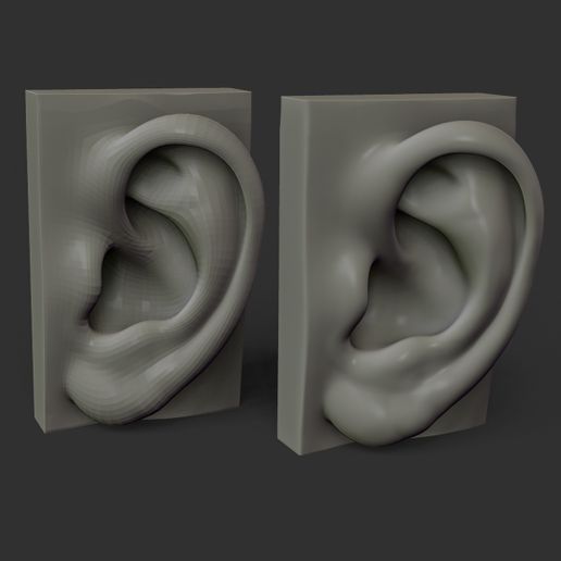 👂 EAR FOR ARTIST - Anatomy and Fine Arts studies -・ STL File for 3D ...