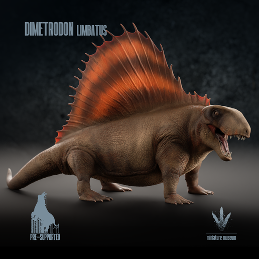 🦖 Dimetrodon limbatus : The Terror of the Permian・ STL File for ・Cults