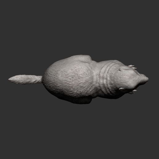 🐕 Prairie dog 3D print model・ STL File for 3D printing・Cults