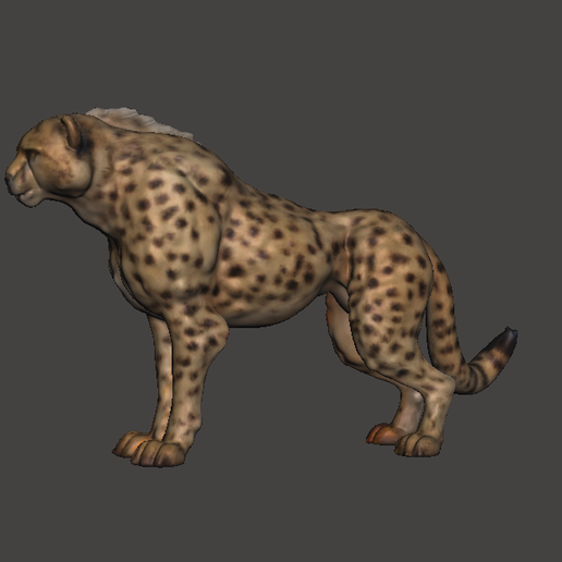 STL file Fast and Muscular Cheetah Figure - 3D Print Model 🐆 (OBJ)・3D ...