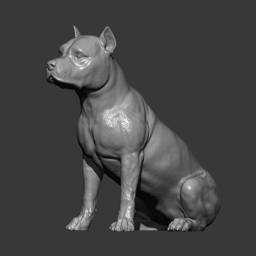 🐕 American Staffordshire Terrier 3D print model・ 3D File for ・Cults