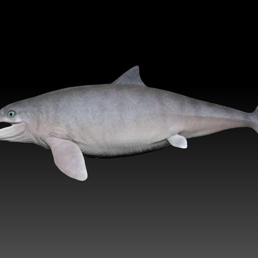 🐉 Ophthalmosaurus・ STL File for 3D printing・Cults