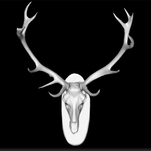 🦌 Deer Skull Model - Animal Skull STL - Antler Design Print - Nature ...