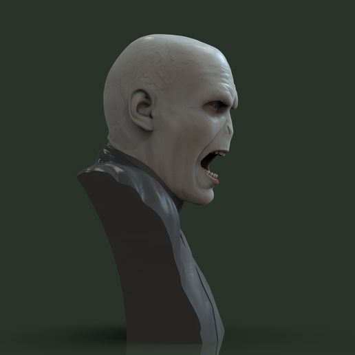 🎨 Harry Potter - Voldemort・ STL File for ・Cults