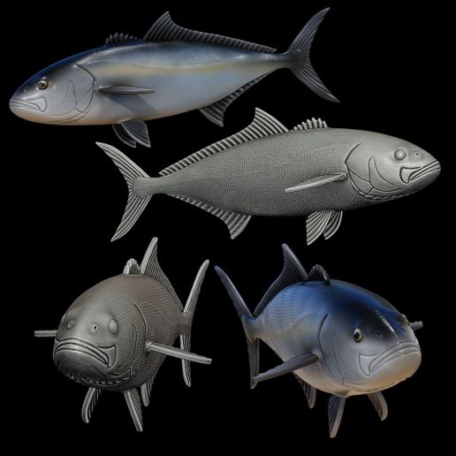 🐠 Gran serviola / Seriola dumerili modelo de pez para impresión 3D ...