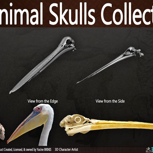🐆 20 Animal Skulls Collection Volume 03・ 3D File for 3D printing・Cults