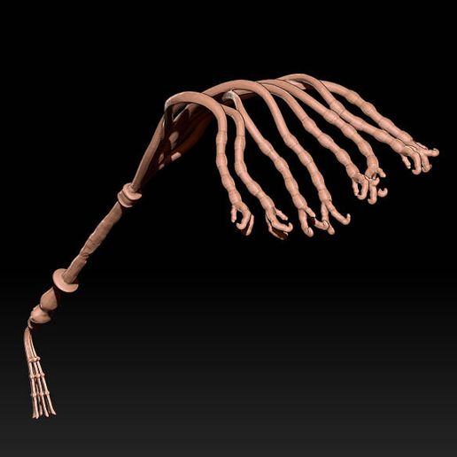 STL file Rose of Ariandel - Dark Souls 3 🌹 (OBJ)・3D printable model to ...