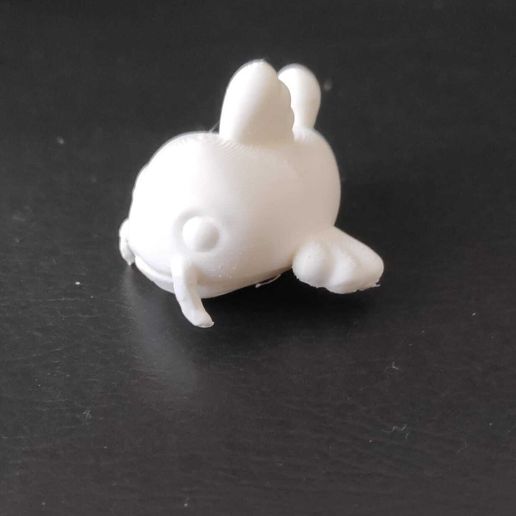 🐠 Moustache Catfish・ 3D File for ・Cults