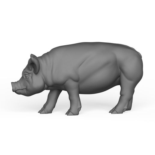 🐖 Pig 3D Print Model・ STL File for 3D printing・Cults