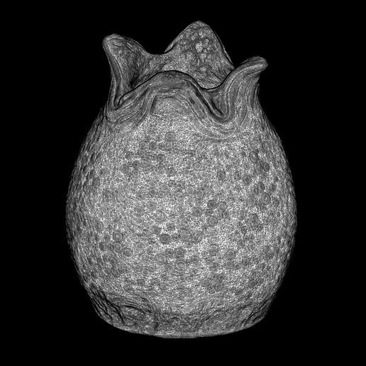 👽 3D PRINTABLE OPEN ALIEN EGG 1979 COVENANT FLAT BOTTOM TWO PACK・ STL ...