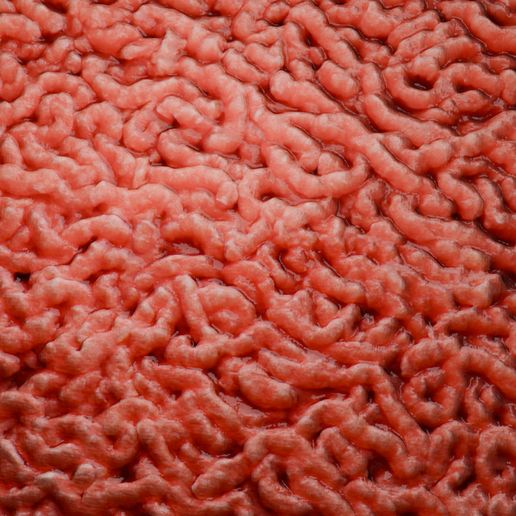🍖 Raw Minced Meat PBR Texture・ 3D File for ・Cults