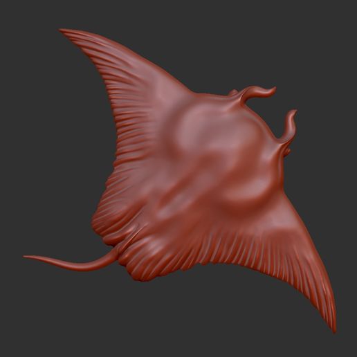 📁 Manta Ray 3d relief .stl file・ STL File for 3D printing and CNC ...