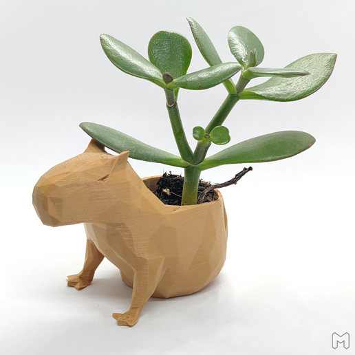 💐 Capybara Flower Pot・ STL File for ・Cults