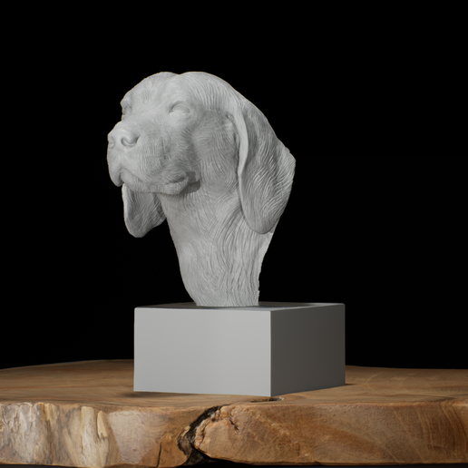 🐕 Beagle dog bust statue・ STL File for 3D printing・Cults