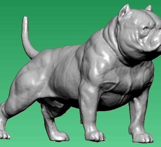 STL file American Bully Dog model - 3D print 🐕 ・3D printing template to ...