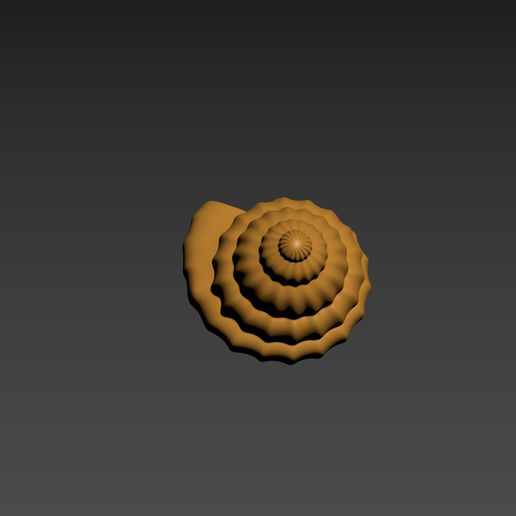 🐚 Seashell Clam Shell・ STL File for 3D printing・Cults