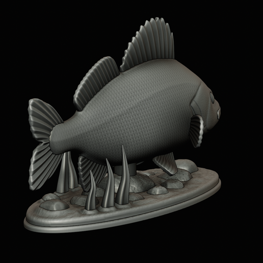 STL file fish perch / Perca fluviatilis statue underwater detailed ...