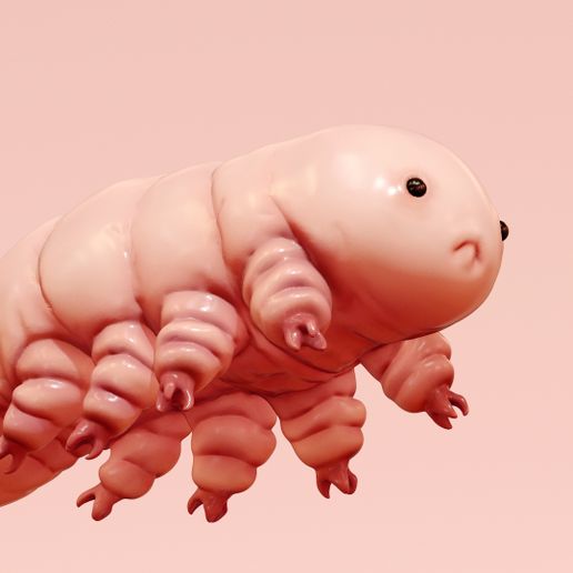 🎮 Cryptobiote with Base・ STL File for 3D printing・Cults