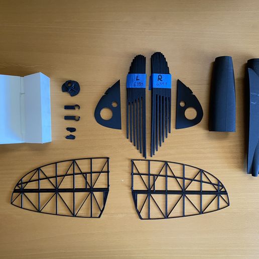 🐛 "Bug Lite" - 3D Printed Electric DLG (F5K)・Free 3D File for 3D ...