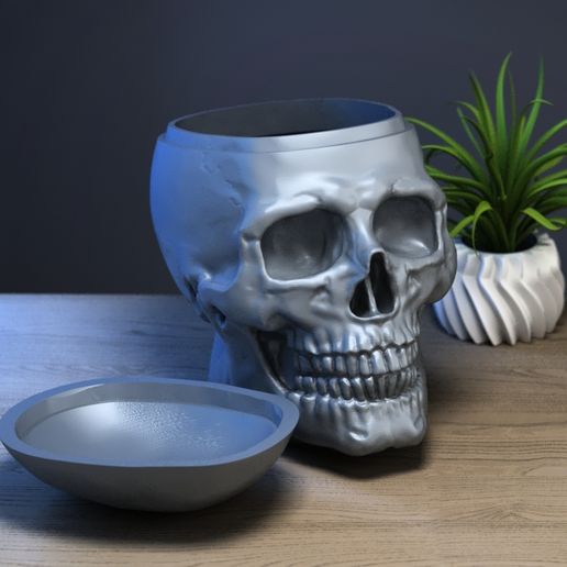 💀 skull container, skull head container,human skull, container, Perfect ...