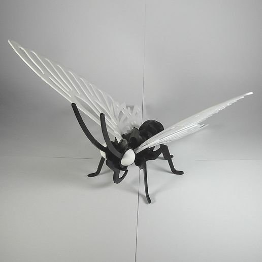 Free STL file PAPILLON 🧩 ・3D print object to download・Cults