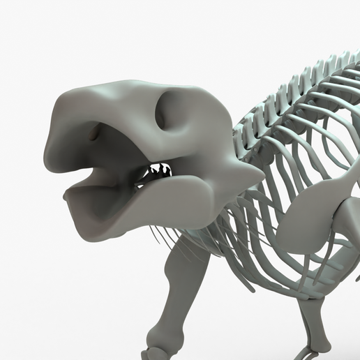 💀 Ankylosaurus Dinosour esqueleto Rigged 3D Print Model・Archivo STL ...