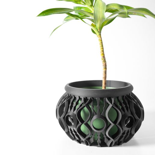 🪴 The Lyren Planter Pot & Orchid Pot Hybrid with Drainage Tray: Modern ...