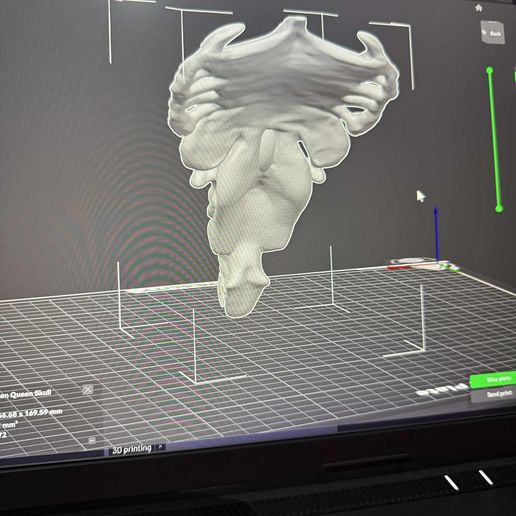 🦴 Alien Skull Trophy – Diorama-Ready 3D Model (STL) 🦴・ STL File for 3D ...
