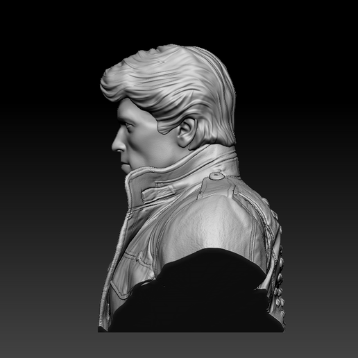 👤 Terminator 1 - Bust of Arnold Schwarzenegger - T800 - Bust of Arnold ...