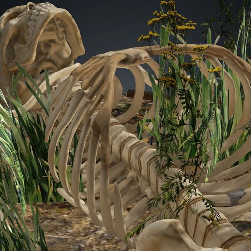 💀 Human Skeleton FOSSIL ANATOMY IN MUD 3D Model・ OBJ File for 3D ...