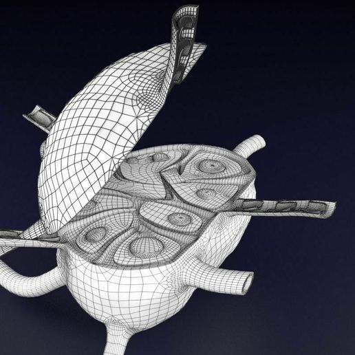 ⚕️ Lymph node Lymphatic system 3D model・ 3D File for 3D printing・Cults