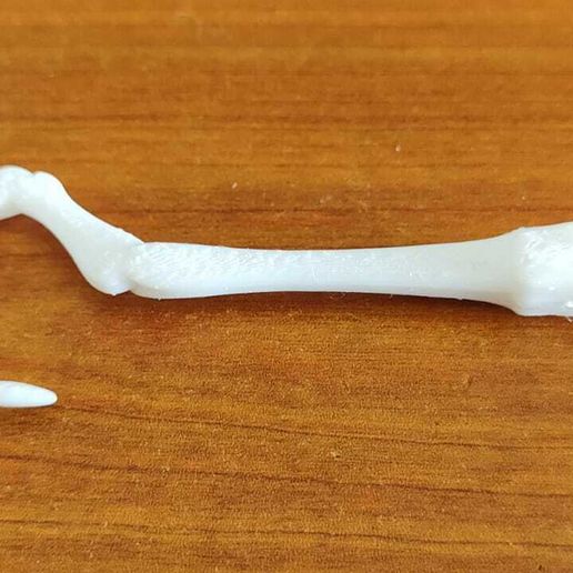 Free STL file Bone Hook Keychain 🦴 ・3D printable model to download・Cults