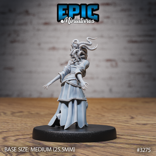 🏴‍☠️ Gorgon Pirate Yelling ‧ DnD Miniature ‧ Tabletop Miniatures ...
