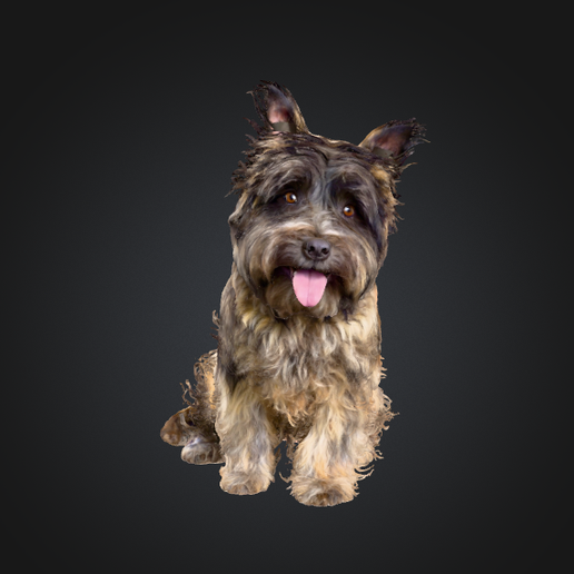 🎨 Toto from Wizard of OZ・ STL File for 3D printing・Cults