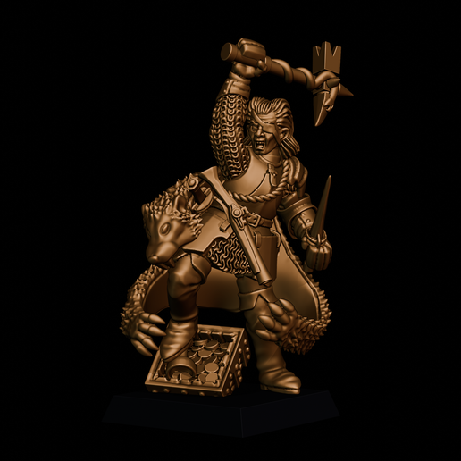 🎲 Rodrick Delmonte Mercenary Captain・ 3D File for 3D printing・Cults