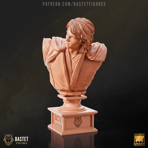 👤 Anakin Bust | Star Wars・ 3D File for 3D printing・Cults
